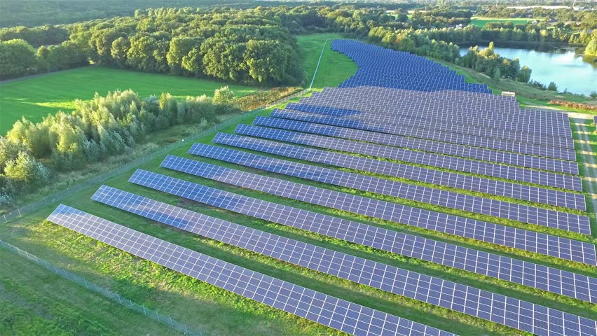 homepage [oakleafep.com]