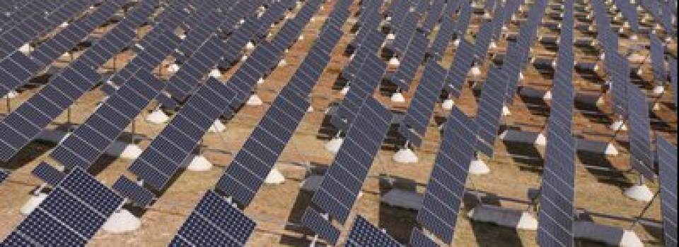 Portfolio - Oakleaf Energy Partners